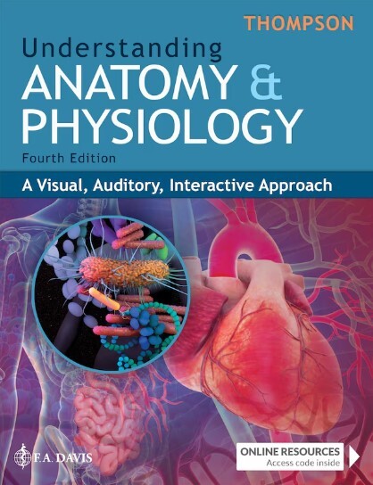 9781719647625 Thompson Understanding Anatomy And Physiology: A Visual ...